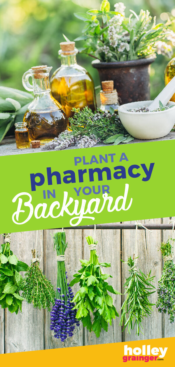 Plant a Pharmacy in Your Backyard | Holley Grainger